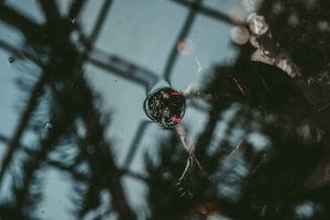 How To Tell If Your Turtle Is Dead Or Hibernating? - Turtle Pet Guide