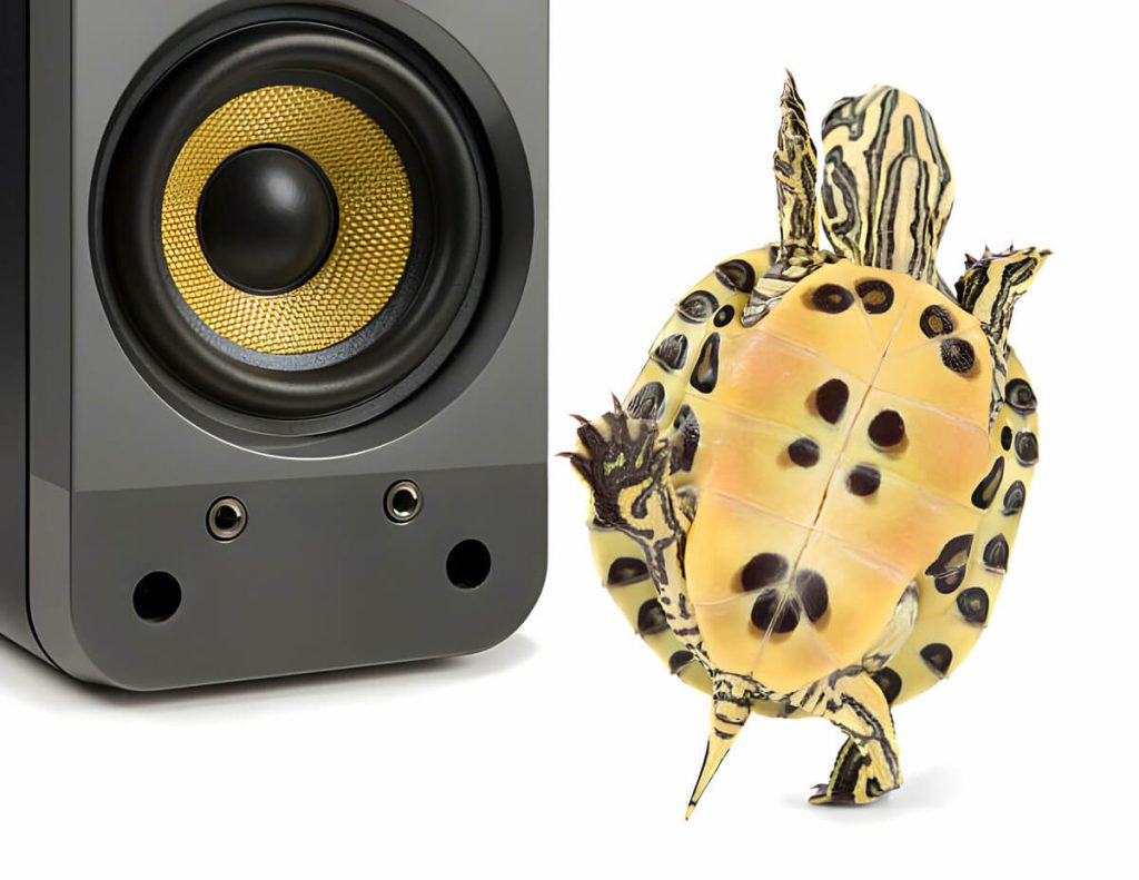 Why Is My Turtle Dancing? - Turtle Pet Guide