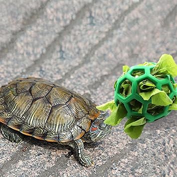 5 Best Toys For Red Eared Slider Turtles - Turtle Pet Guide