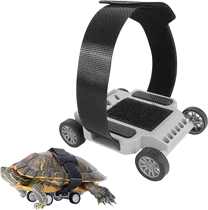 5 Best Toys For Red Eared Slider Turtles - Turtle Pet Guide